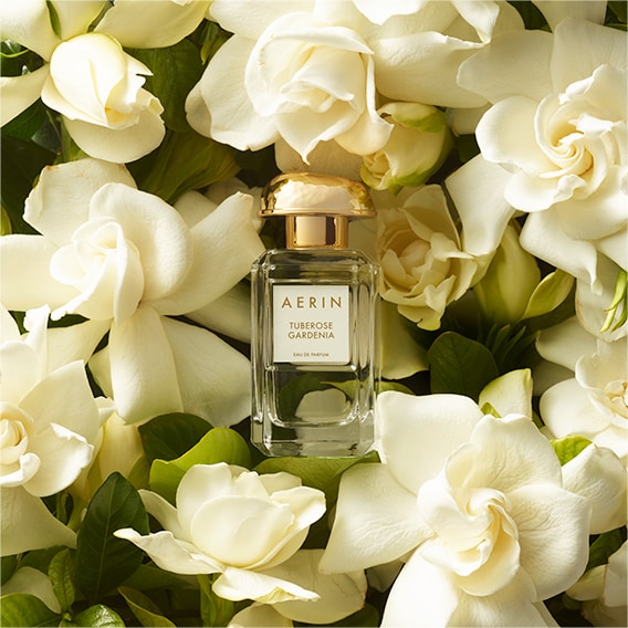AERIN Fragrance & Perfume | Estée Lauder